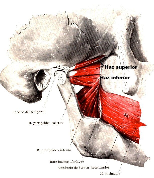 Clínica dental | Dentista especialista | Matias San Martin